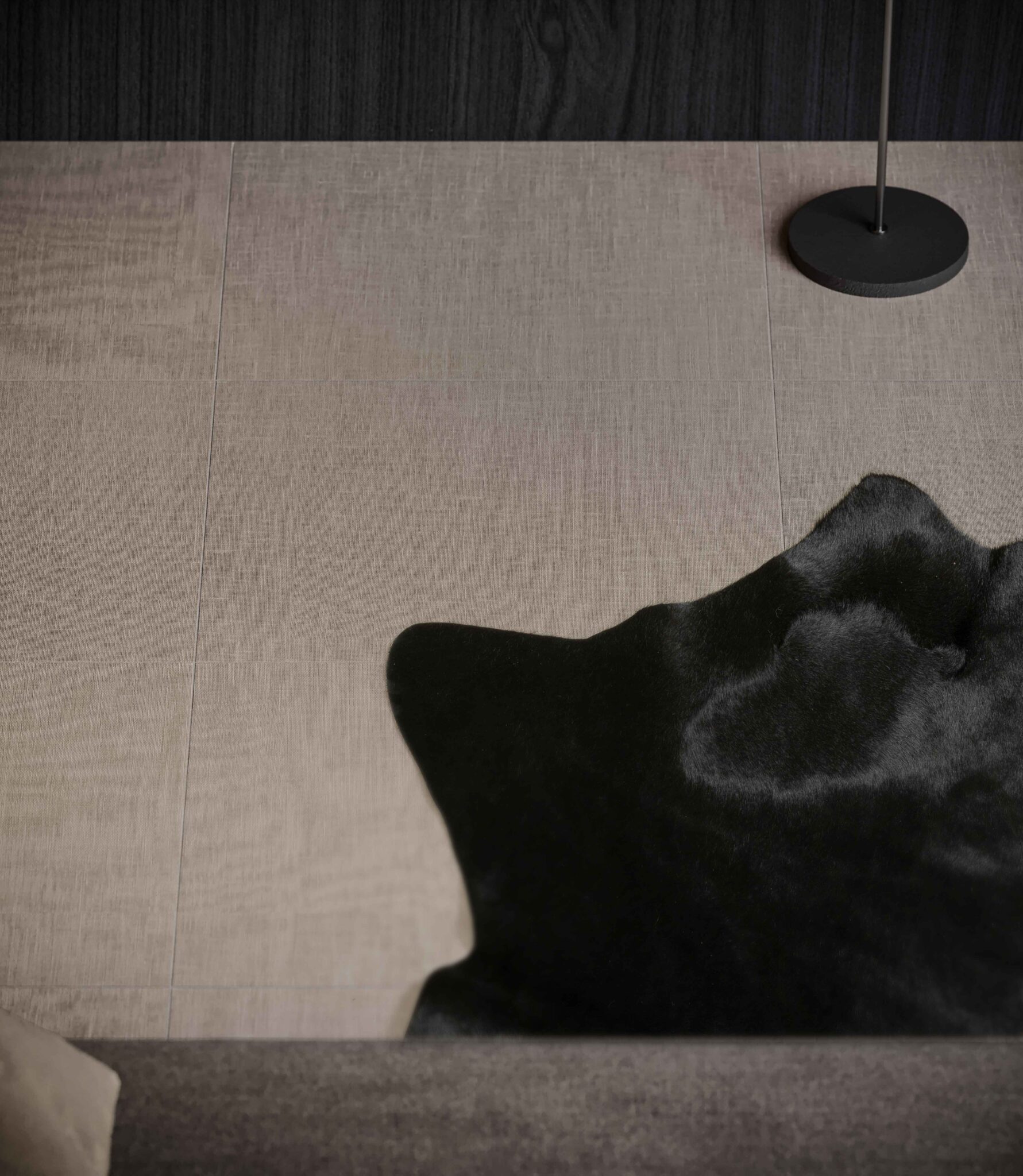 Brixton | Wall Tile | Creative Materials Corporation